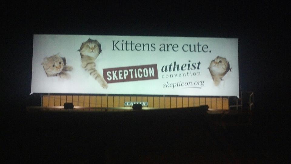 Update: Kitten Billboard